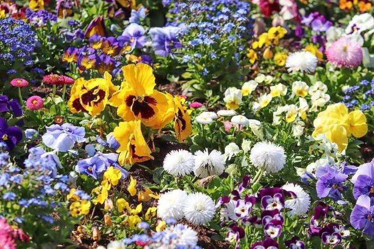 Adopt a flower bed